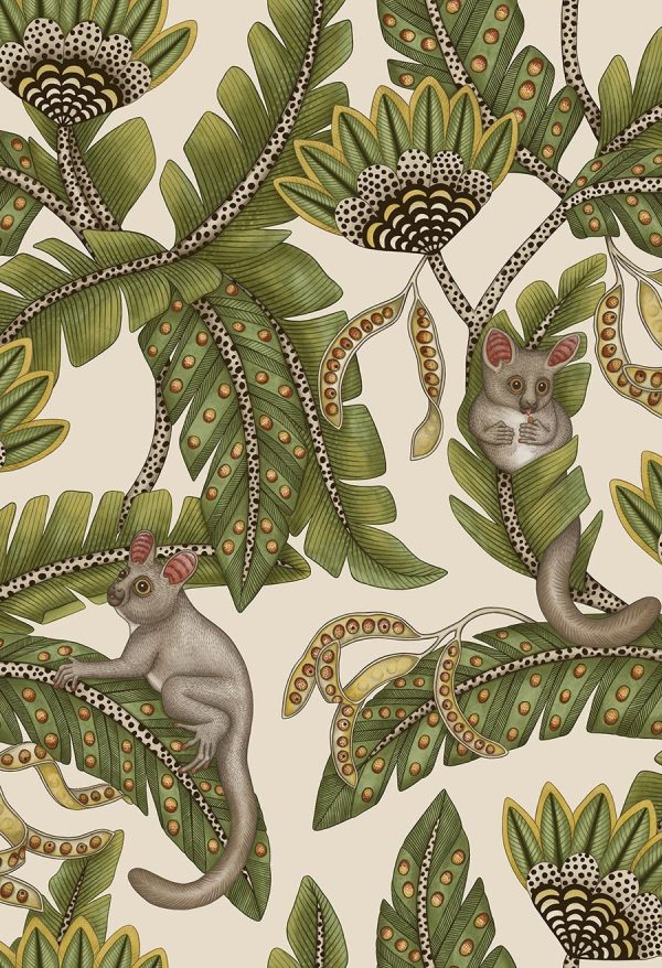 Bush Baby Wallpaper 119/7032 by Cole & Son