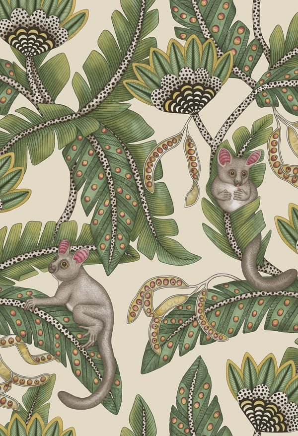 Bush Baby Wallpaper 119/7035 by Cole & Son