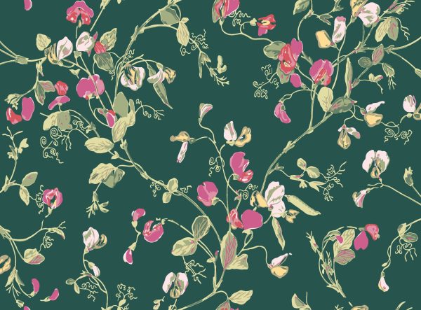 Cole & Son Sweet Pea Wallpaper 115/11033