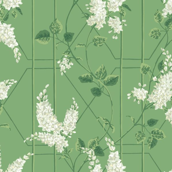 COLE & SON TAPETE 115/5016 BOTANICAL BOTANICA