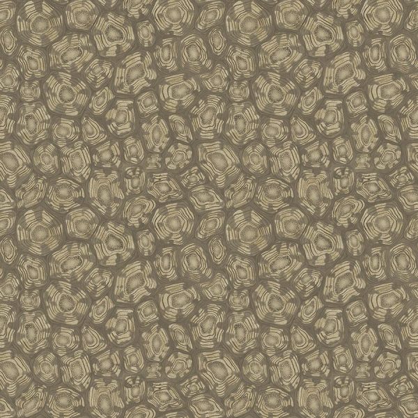 Savanna Shell Wallpaper 119/4020 by Cole & Son