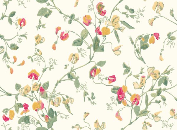 Sweet Pea Wallpaper 100/6027 by Cole & Son