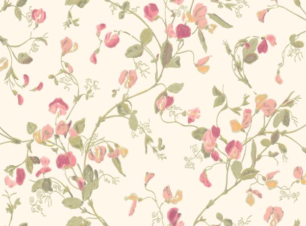 Sweet Pea Wallpaper 100/6028 by Cole & Son