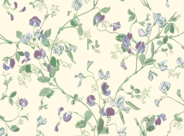 Sweet Pea Wallpaper 100/6030 by Cole & Son