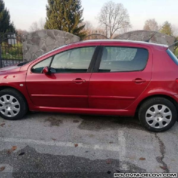 Peugeot 307 Kompletan Auto U Delovima