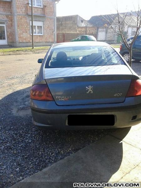 Peugeot 407 Hdi Kompletan Auto U Delovima