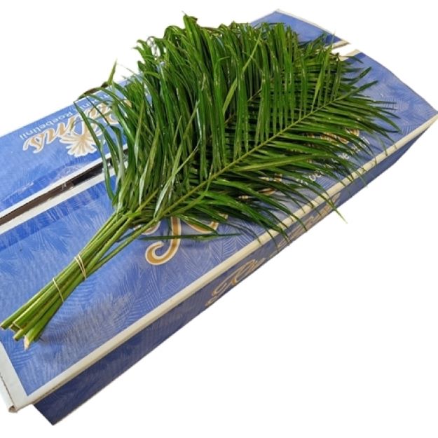 DEC.BUNCH PHOENIX 60 CM – RUBELINI