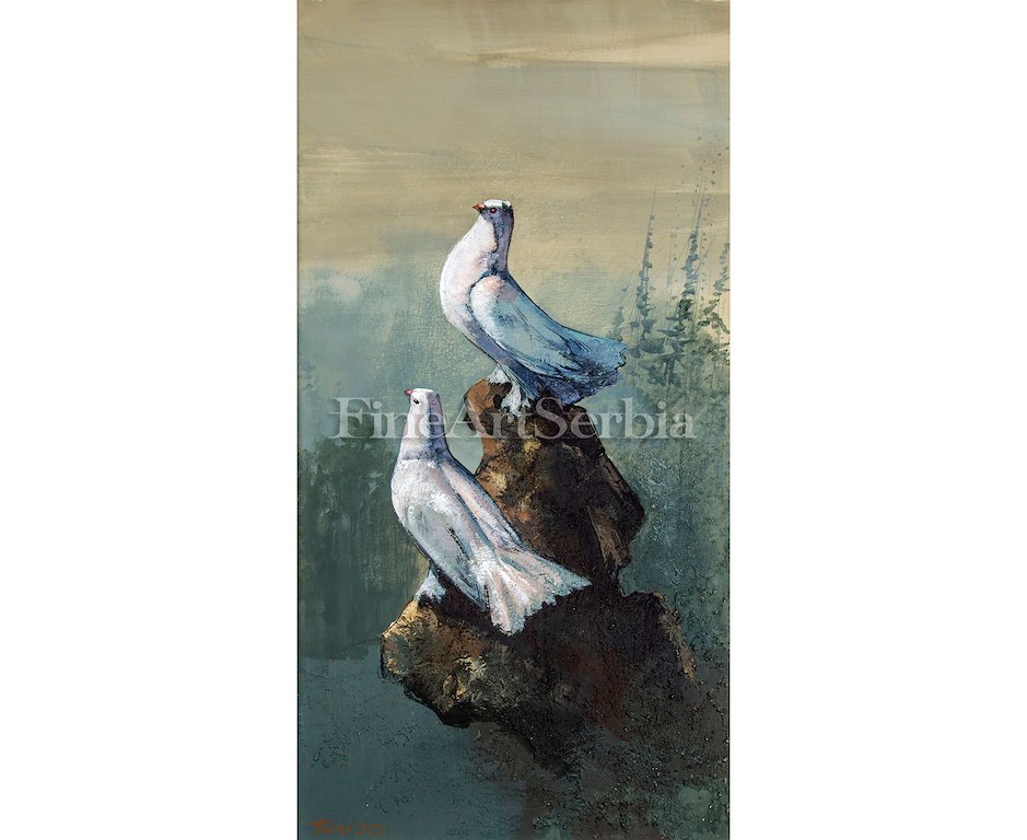 Dva bela goluba - Dragan Petrović Pavle