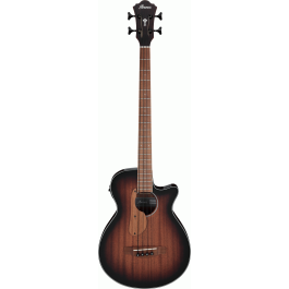 Ibanez AEGB24E-MHS akustična bas gitara sa ozvukom