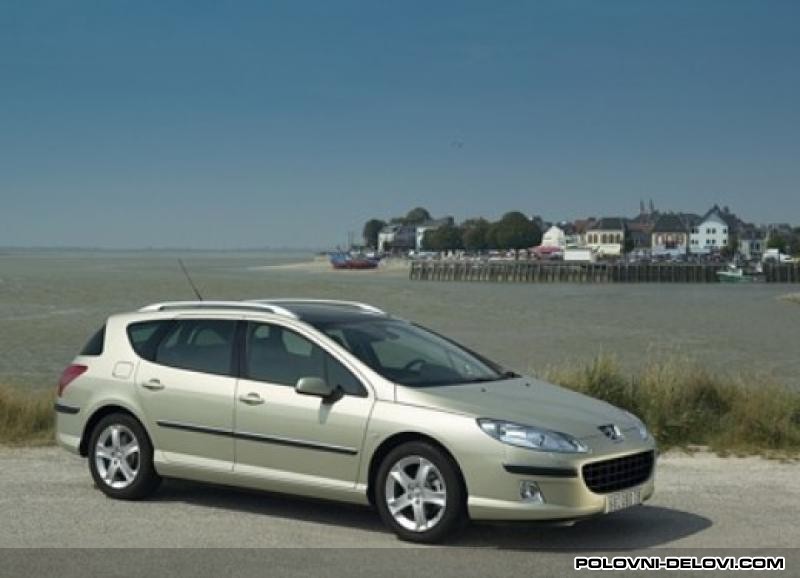 Peugeot 407 Razni Delovi