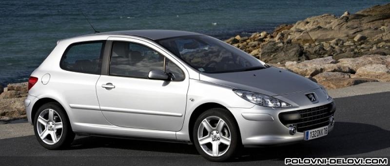 Peugeot 307 Kompletan Auto U Delovima