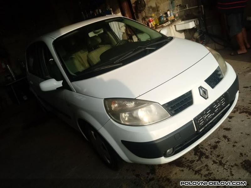 Renault Scenic 1.5DCI. 1.9DCI. 16V Razni Delovi