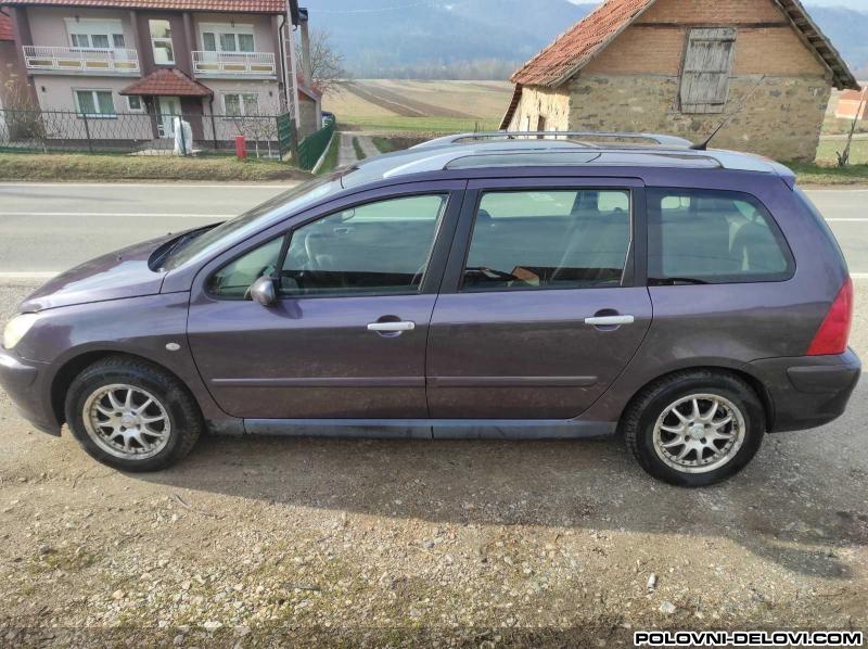 Peugeot 307 Kompletan Auto U Delovima