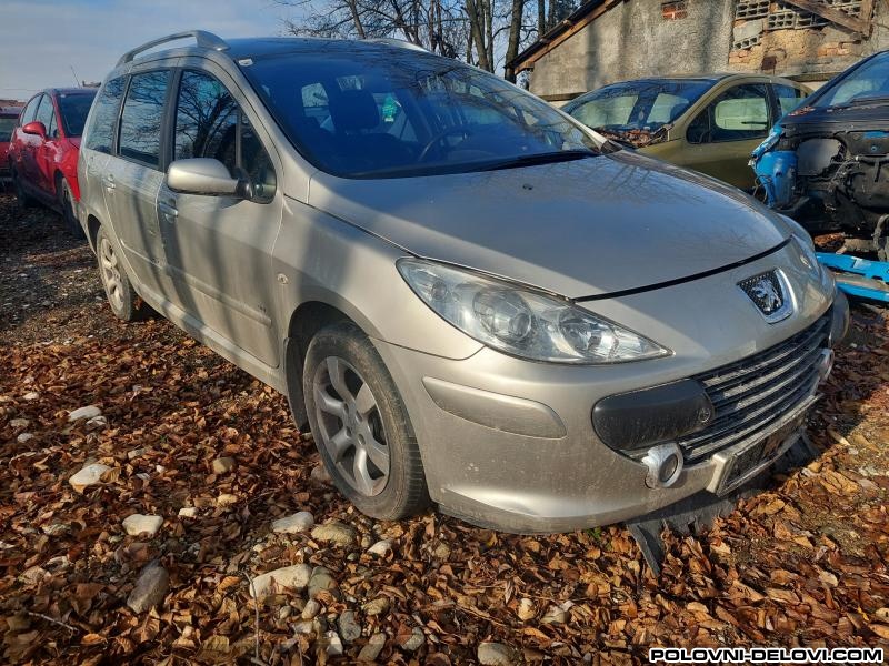 Peugeot 307 Kompletan Auto U Delovima