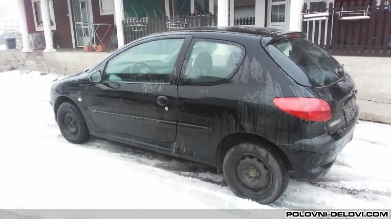 Peugeot 206 Karoserija