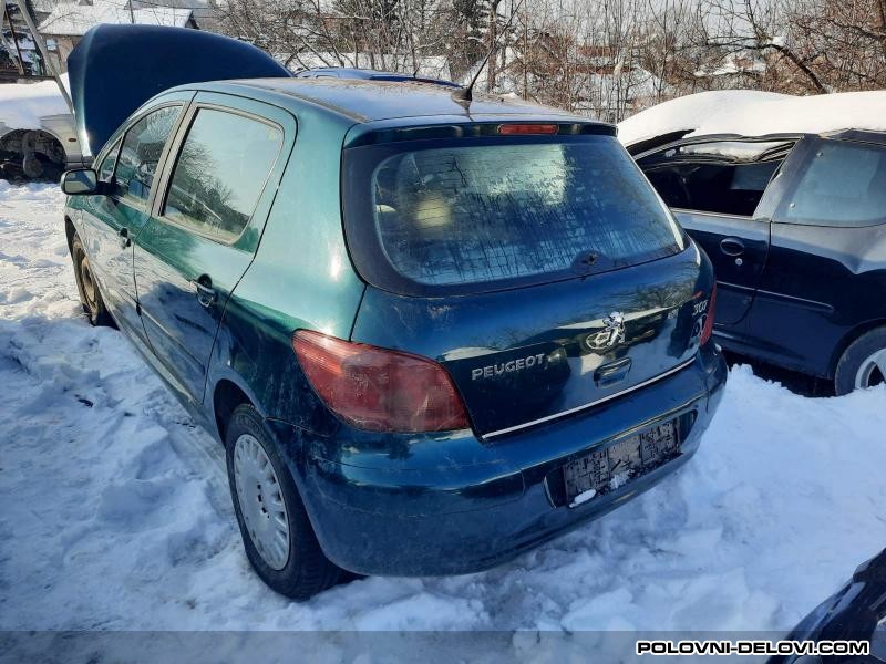 Peugeot 307 Kompletan Auto U Delovima