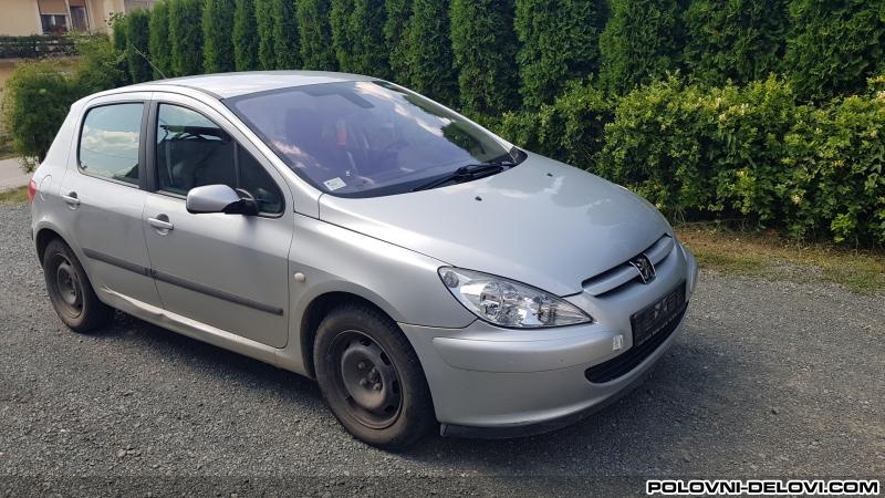 Peugeot 307 2.0 Kompletan Auto U Delovima