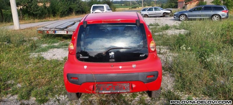 Peugeot 107 Trap I Vesanje