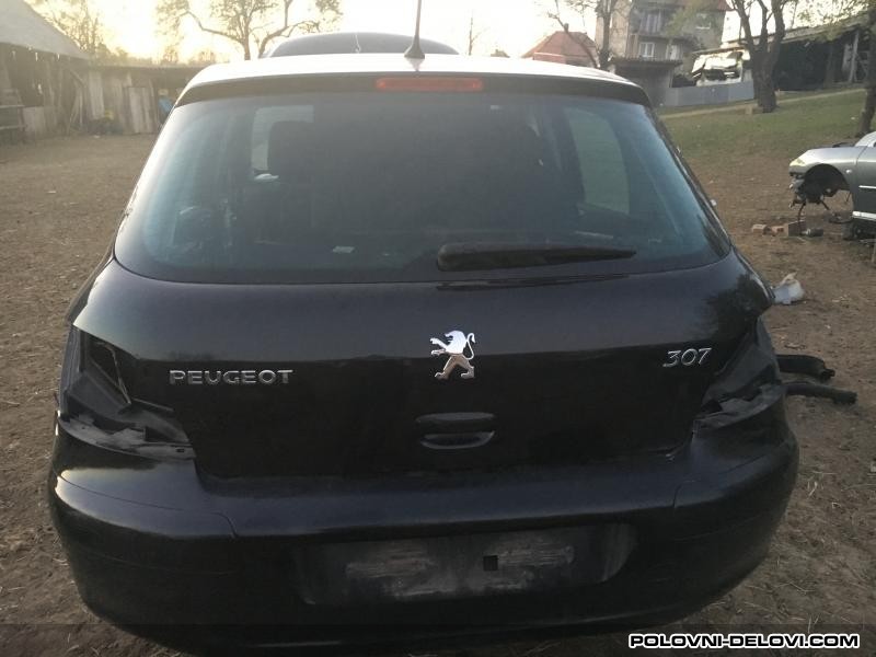 Peugeot 307 Hdi Kompletan Auto U Delovima