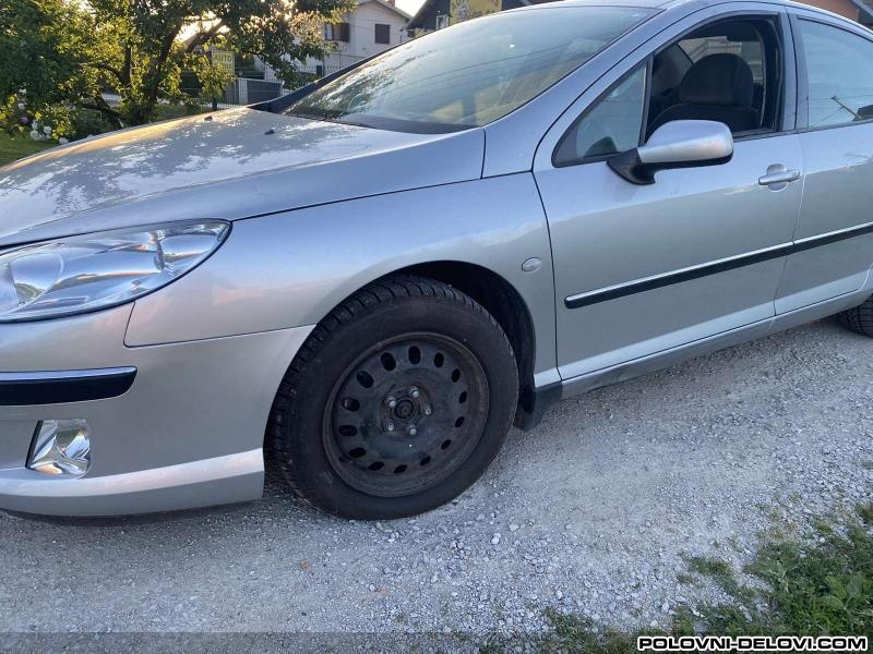 Peugeot 407 Retrovizori