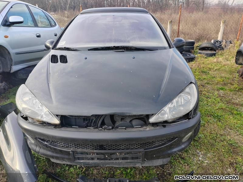 Peugeot 206 1.4b Kompletan Auto U Delovima