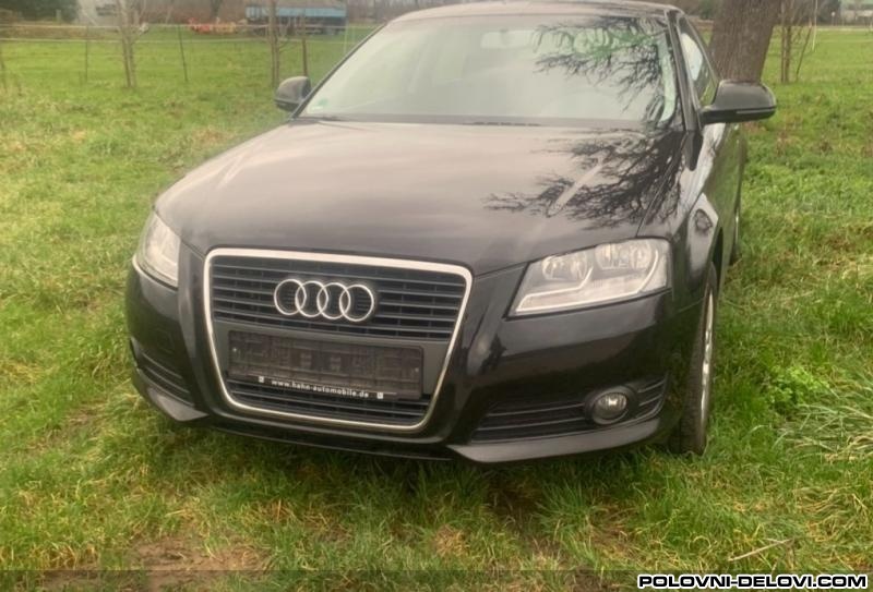 Audi A3 8p Trap I Vesanje