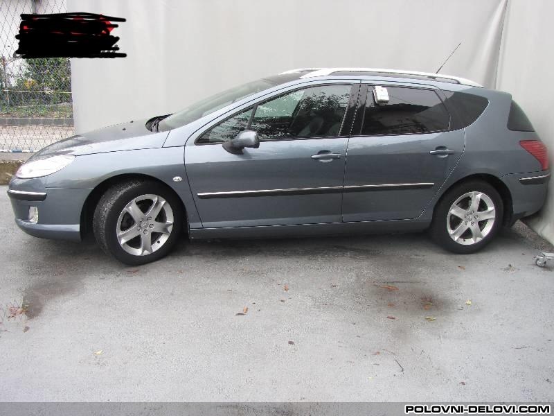 Peugeot 407 1.6 2.0hdi Trap I Vesanje