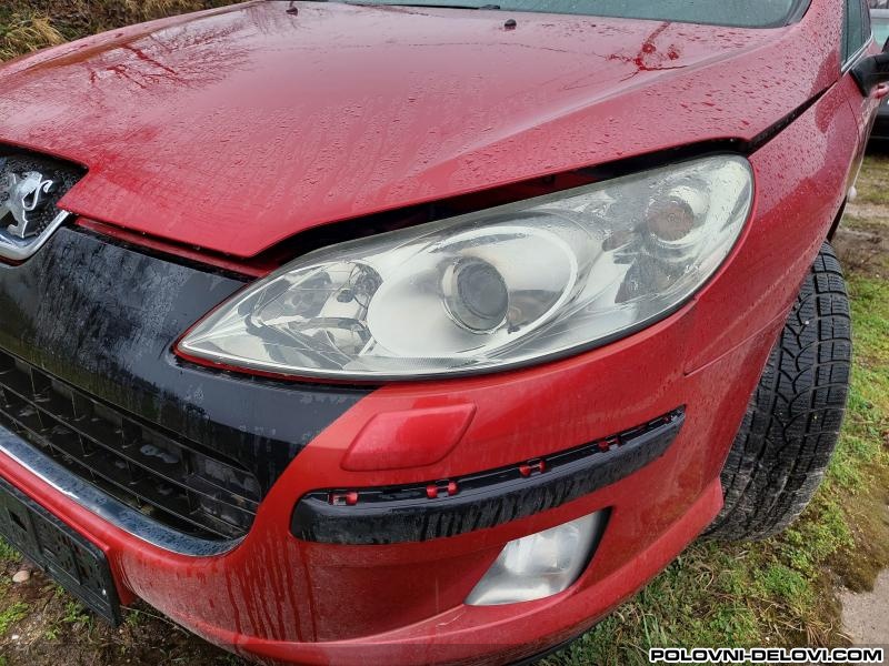 Peugeot 407 Svetla I Signalizacija