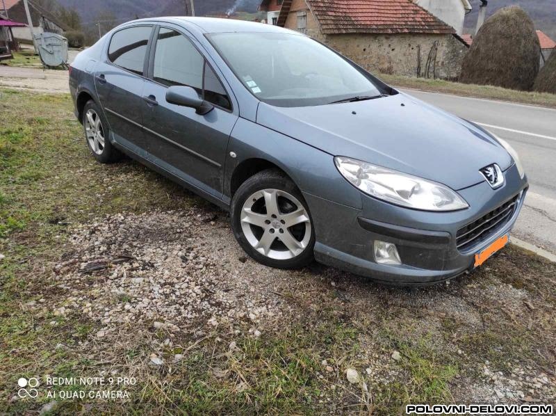 Peugeot 407 Retrovizori