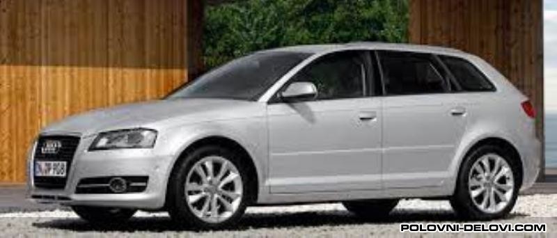 Audi A3 Tdi Kompletan Auto U Delovima