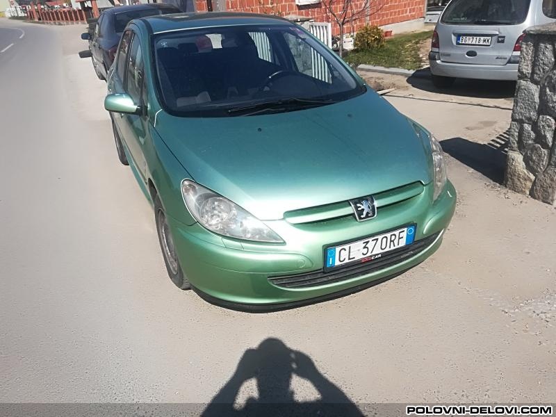 Peugeot 307 2.0 Benzin Izduvni Sistem