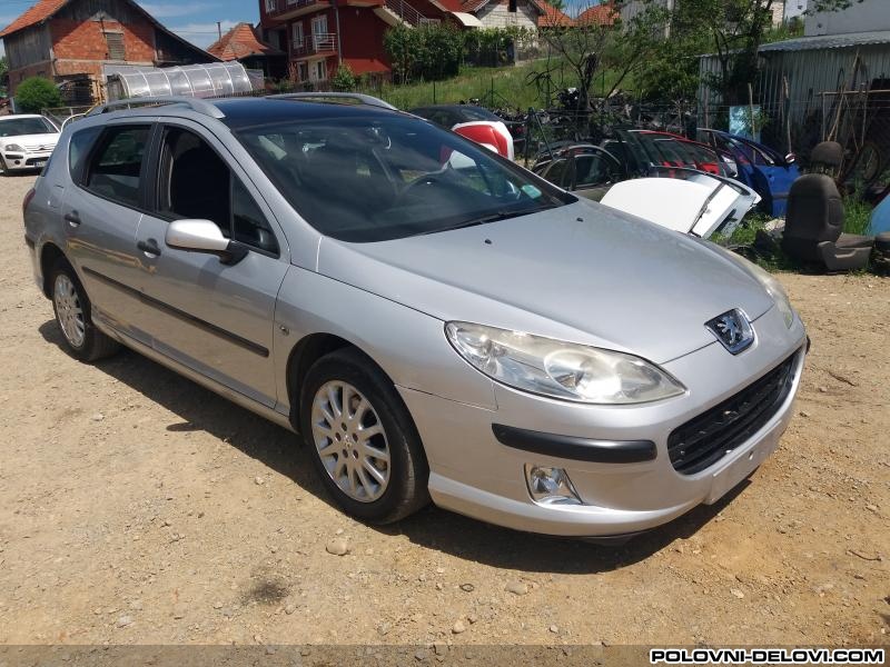 Peugeot 407 Siva Kompletan Auto U Delovima