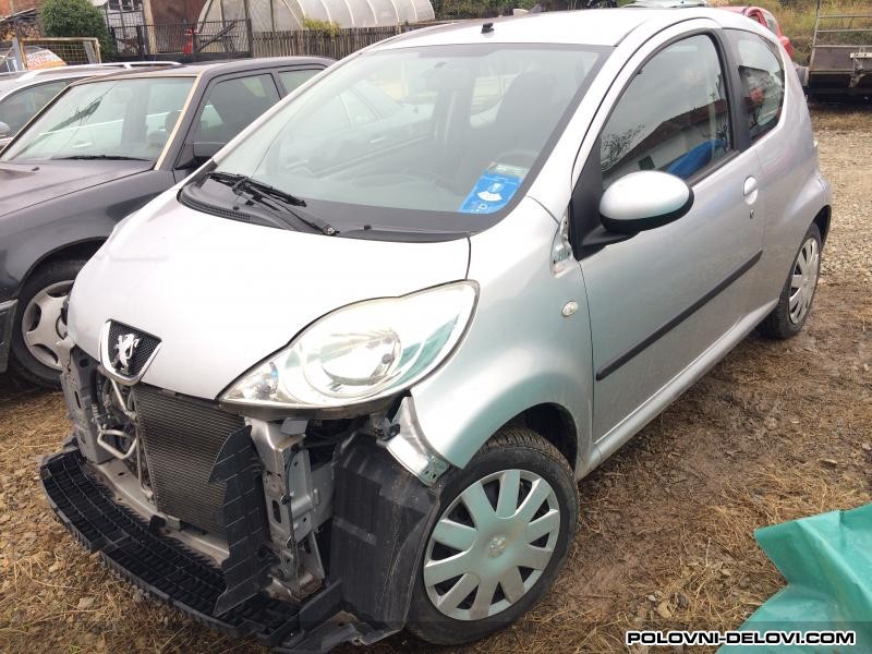 Peugeot 107 Siva Kompletan Auto U Delovima