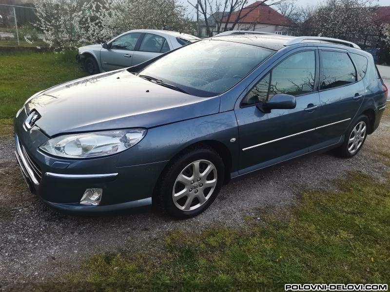 Peugeot 407 Kompletan Auto U Delovima