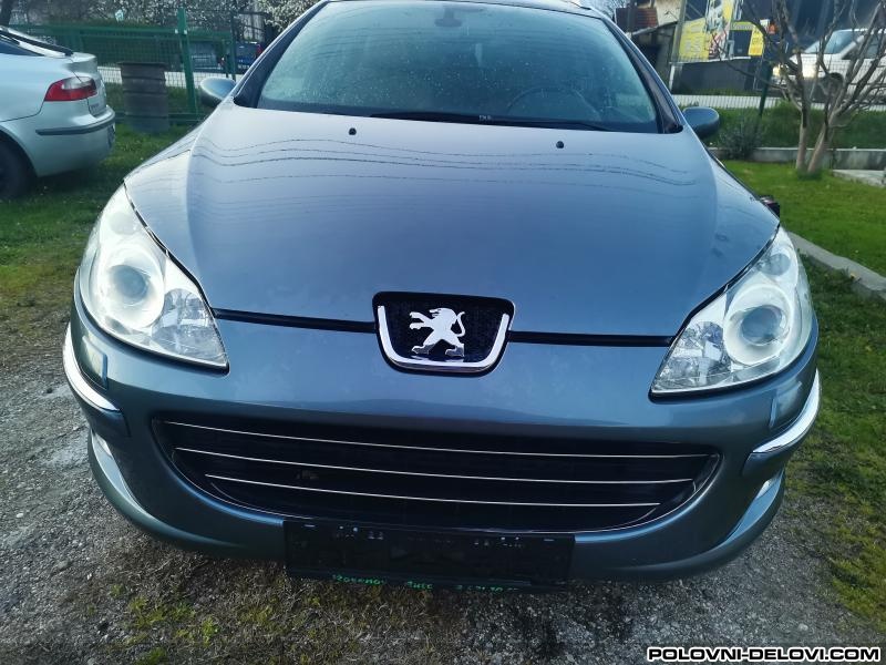 Branici Za Peugeot 407