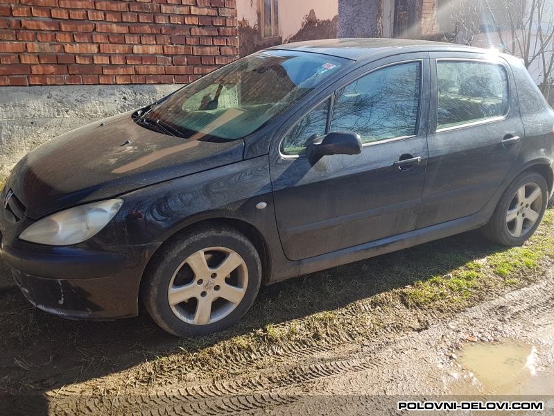 Peugeot 307 2.0 Kompletan Auto U Delovima