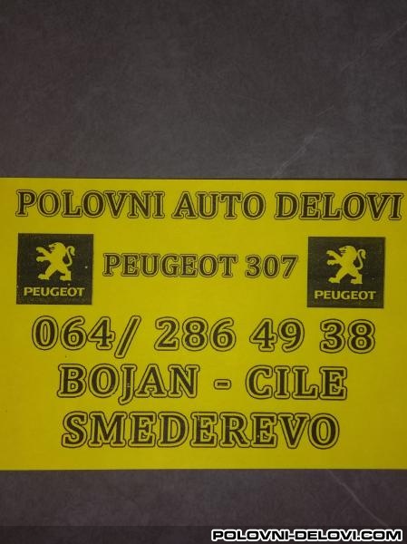 Peugeot 307 Hdi Razni Delovi