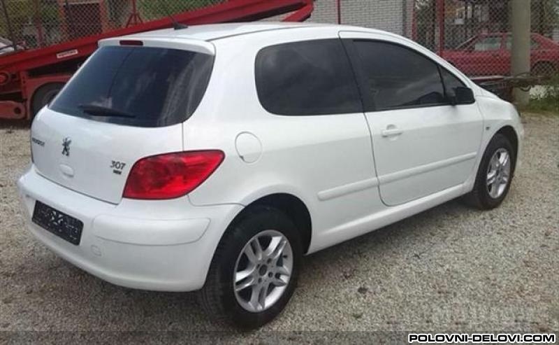 Peugeot 307 Dizel-benzin Svetla I Signalizacija