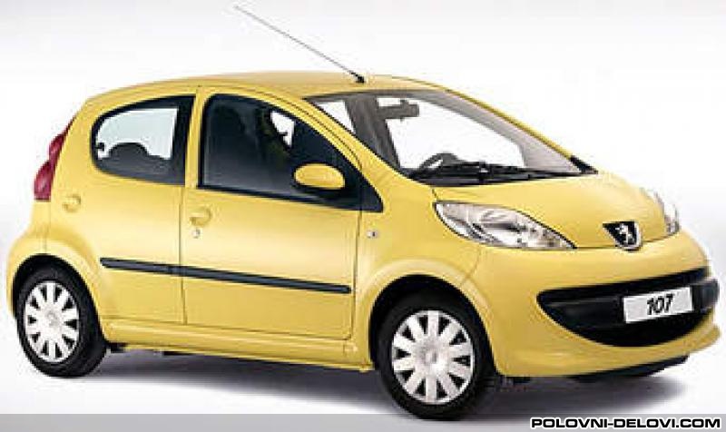 Peugeot 107 2006-2012 Karoserija