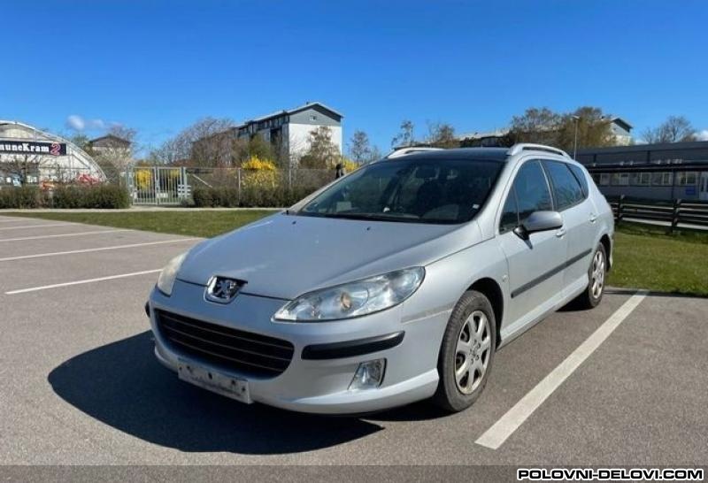 Peugeot 407 2.0hdi Kompletan Auto U Delovima