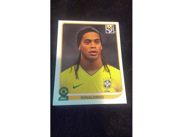 Panini FIFA 2010 J.Afrika sličica broj 500