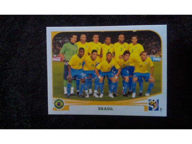 Panini FIFA 2010 J.Afrika sličica broj 486