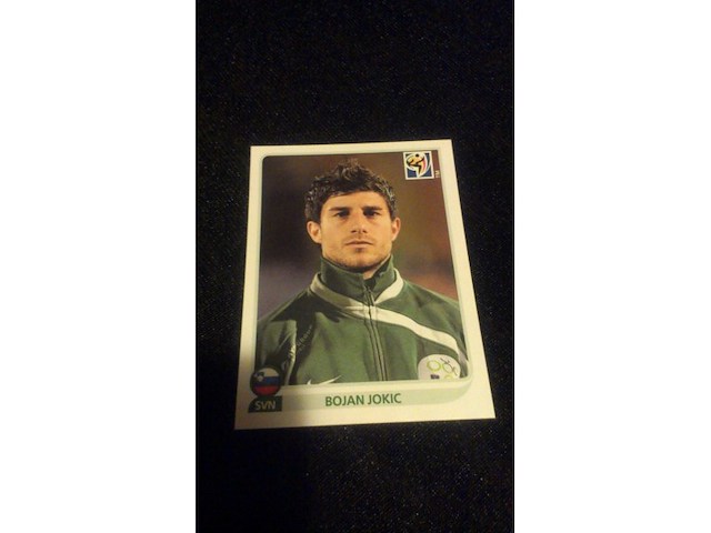 Panini FIFA 2010 J.Afrika sličica broj 245