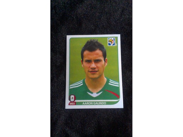 Panini FIFA 2010 J.Afrika sličica broj 055