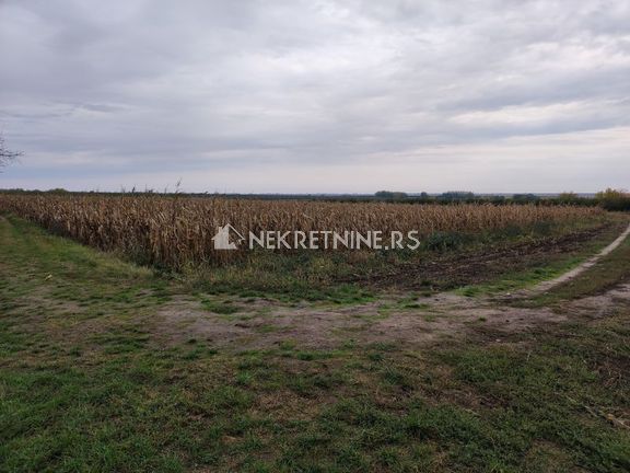 Građevinsko zemljište 80 ari - Slankamenački Vinogradi