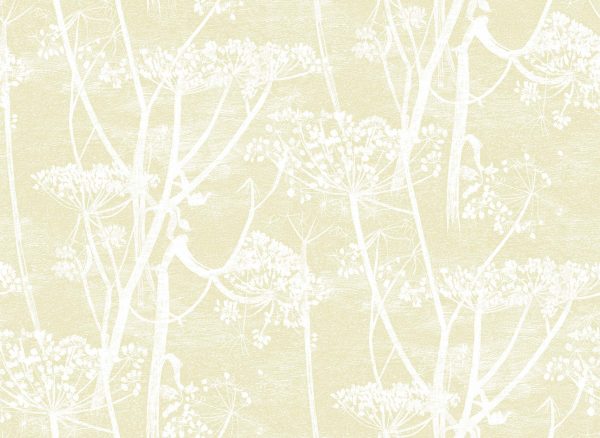 Cow Parsley Wallpaper 95/9053 by Cole & Son