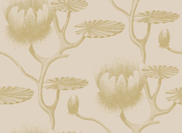 Lily Wallpaper 95/4019 by Cole & Son