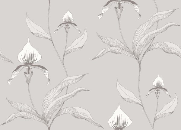 Orchid Wallpaper 95/10055 by Cole & Son