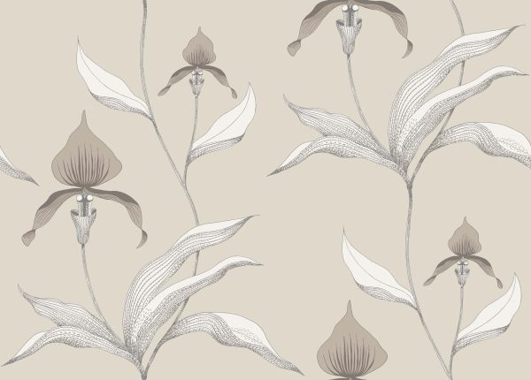 Orchid Wallpaper 95/10058 by Cole & Son