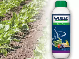 Wuxal B plus 1L